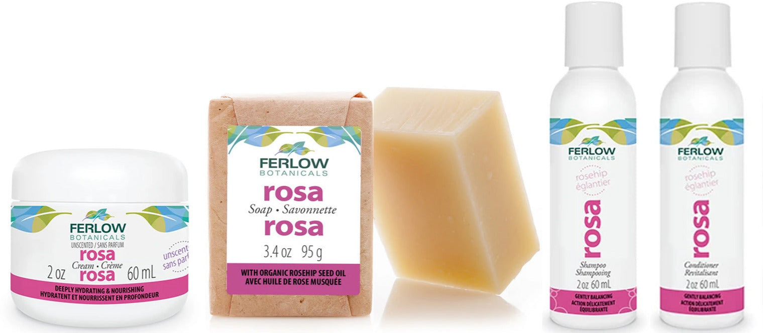 Rosa Cream Ferlow Botanical - Ferlow Botanicals